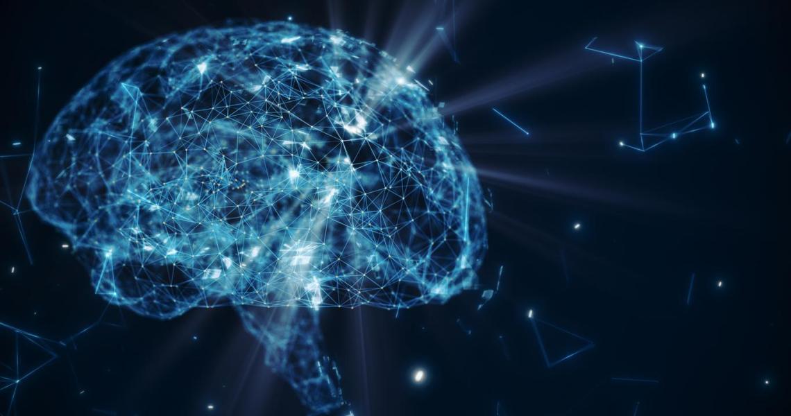 Which Part of Your Brain Is Involved in Your Motivation!